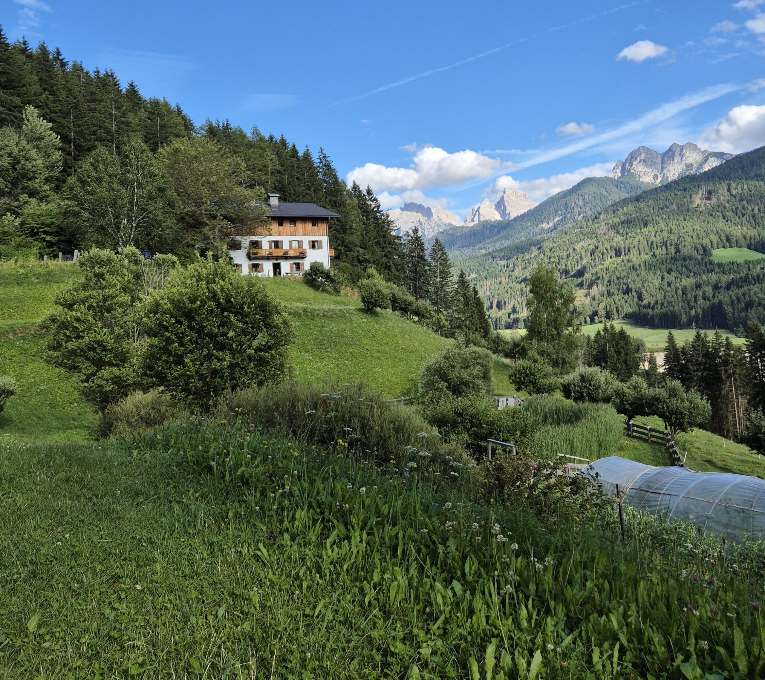 Home - Biobauernhof Unterstein